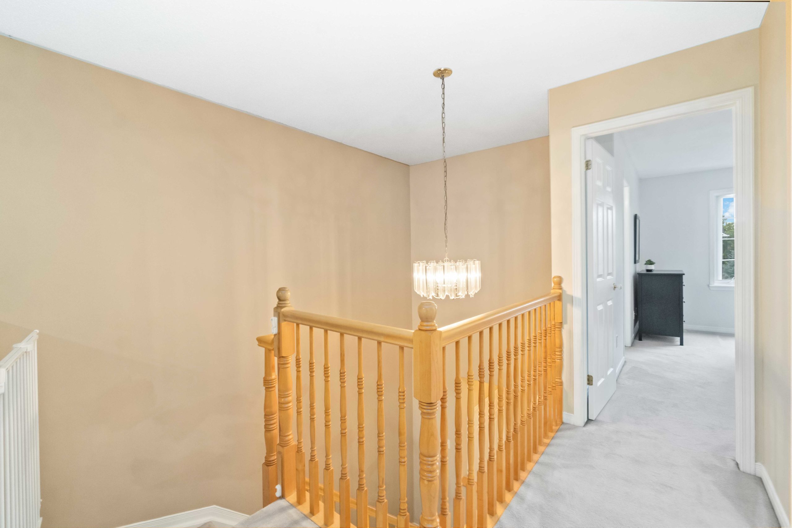 Barrhaven House Curious