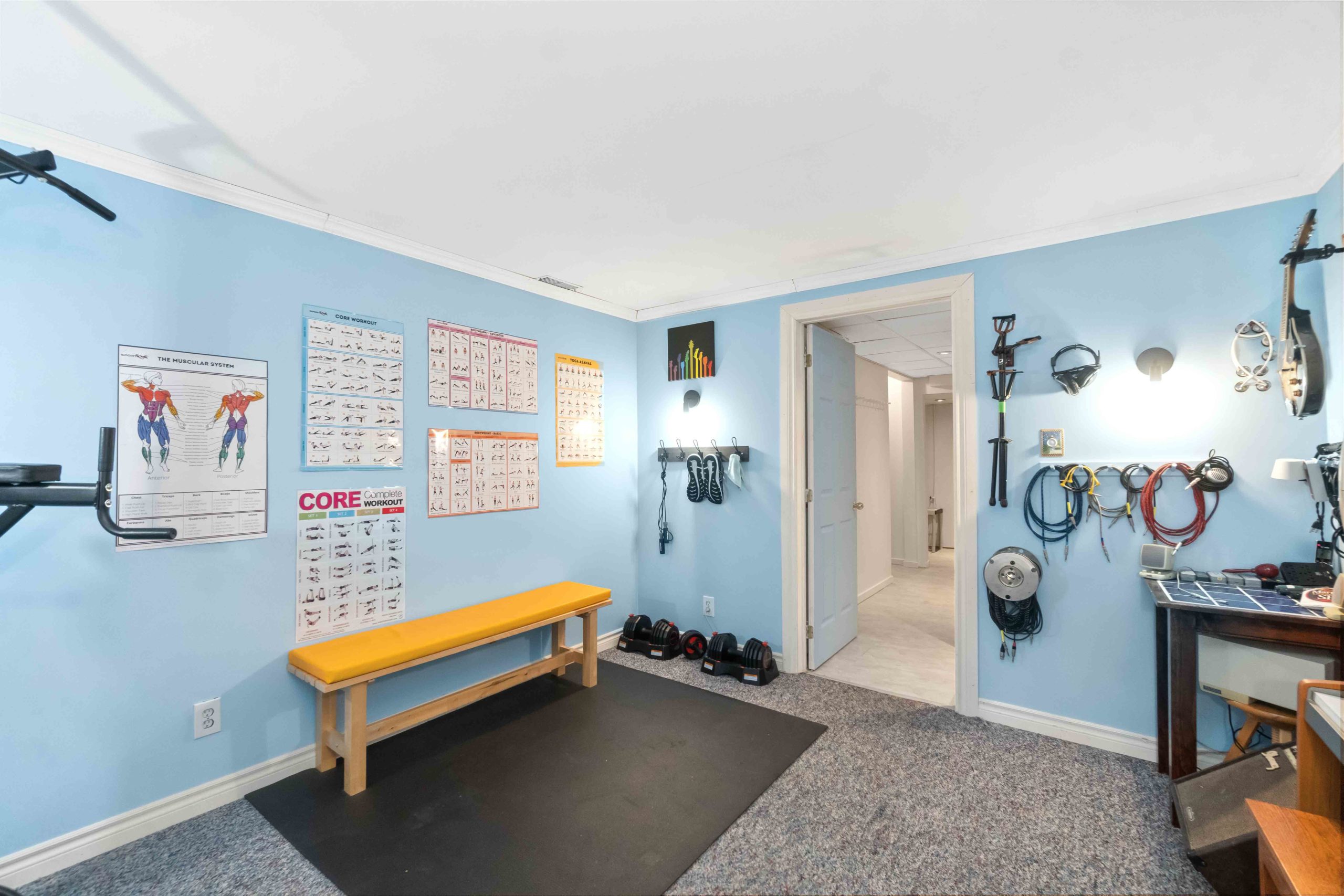 Barrhaven House Curious
